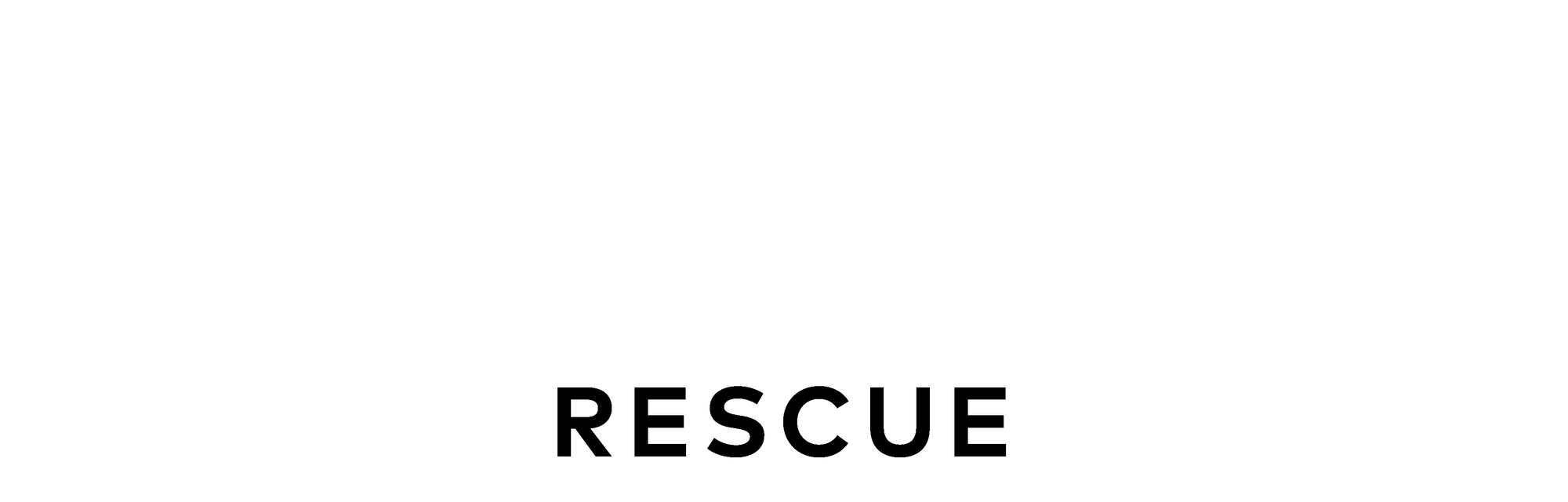 Our Story | Lucida Group | Helping insurance businesses flourish