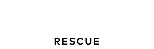 Our Businesses | Lucida Group | Helping insurance businesses flourish