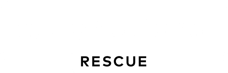 Our Businesses | Lucida Group | Helping insurance businesses flourish