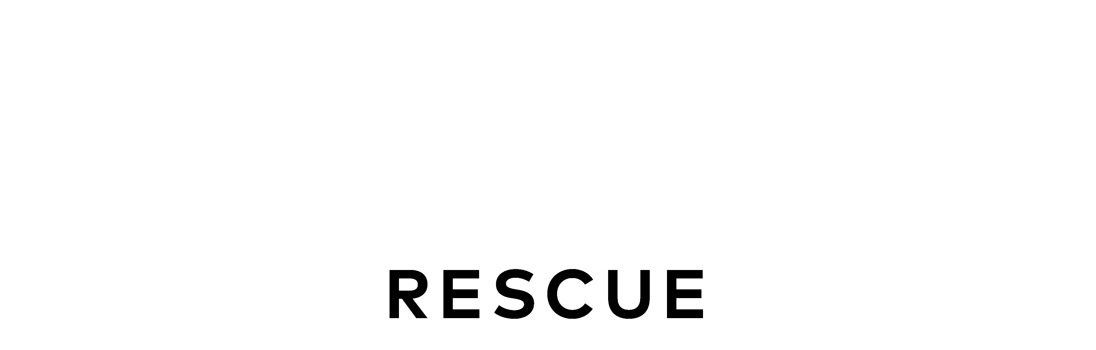 Our Businesses | Lucida Group | Helping insurance businesses flourish