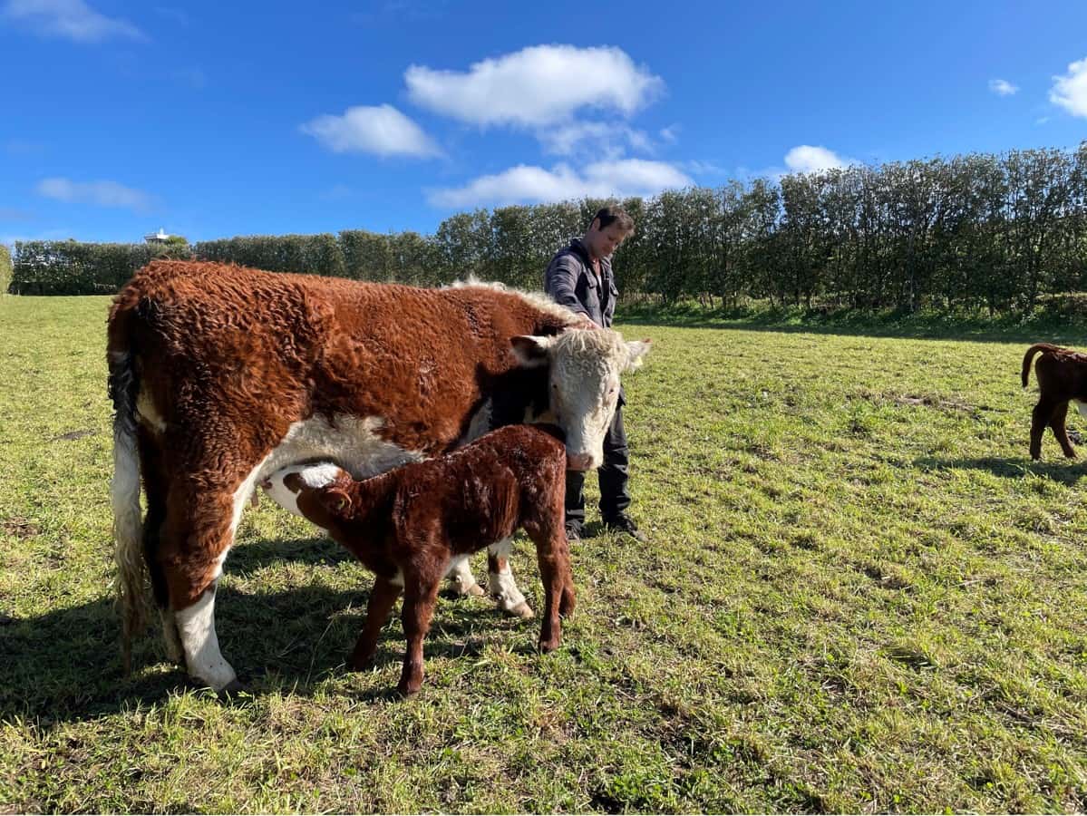 Contact Us | Parting Carn Isles of Scilly