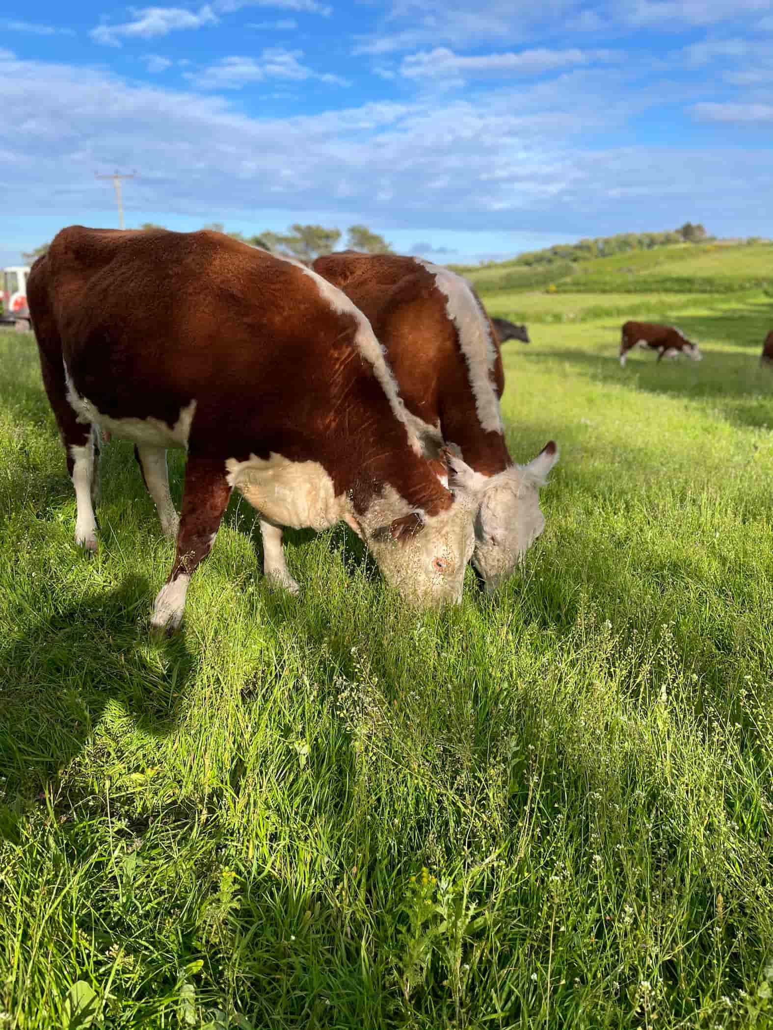 About Parting Carn, Isles of Scilly Cornwall
