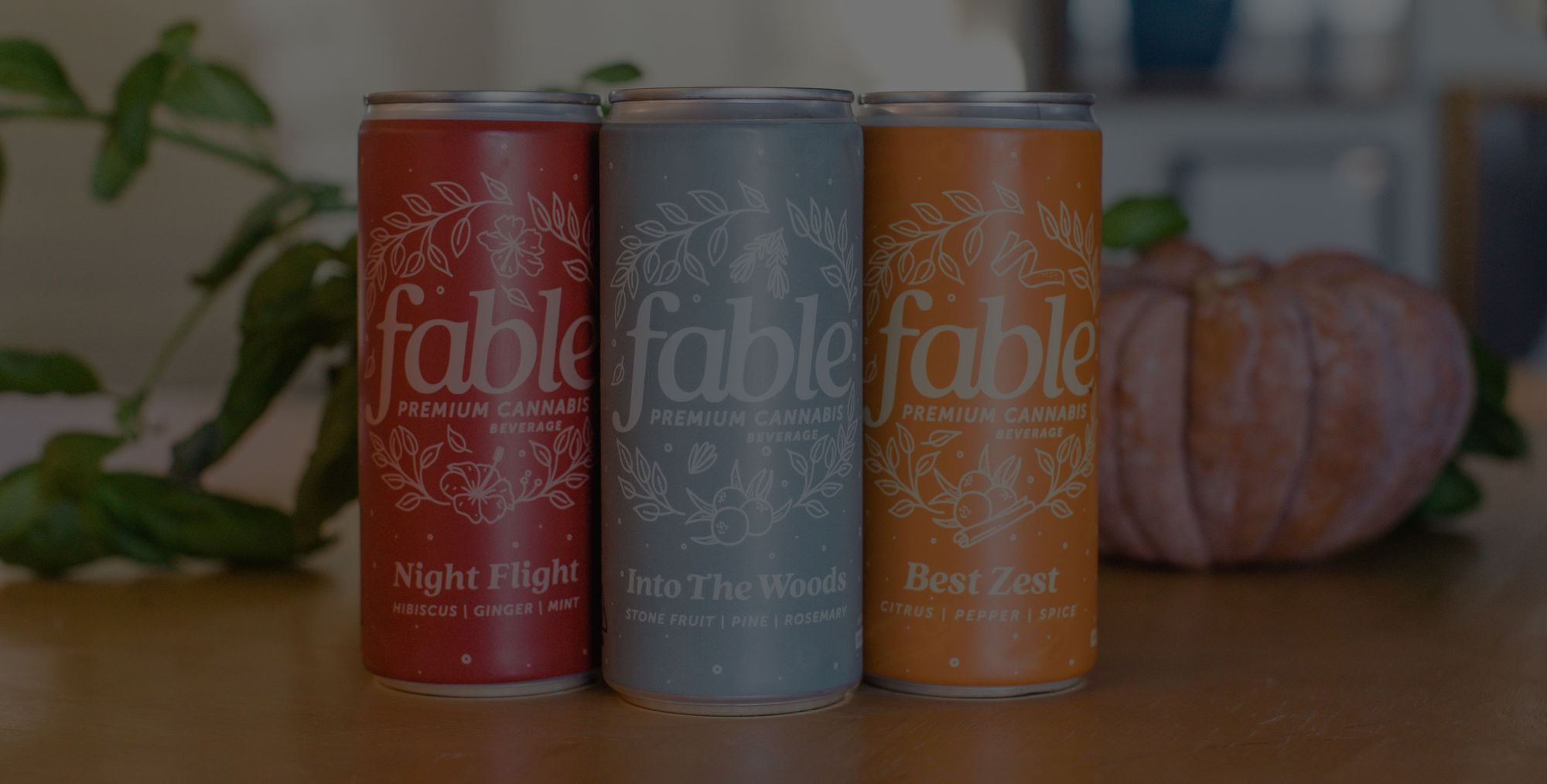 Fable Drinks | Masterfully crafted THC- infused beverages
