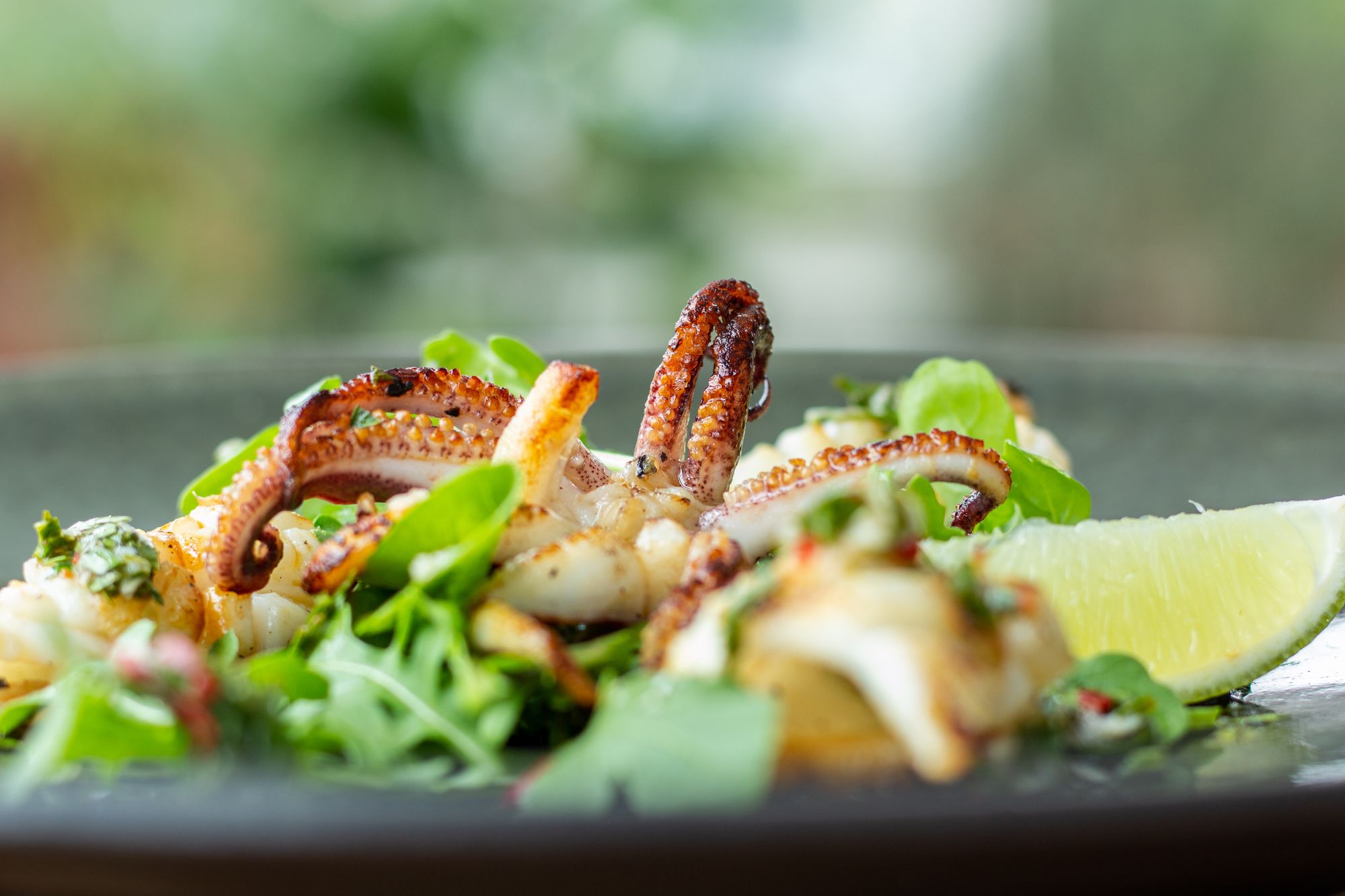 Ballymaloe Cookery School