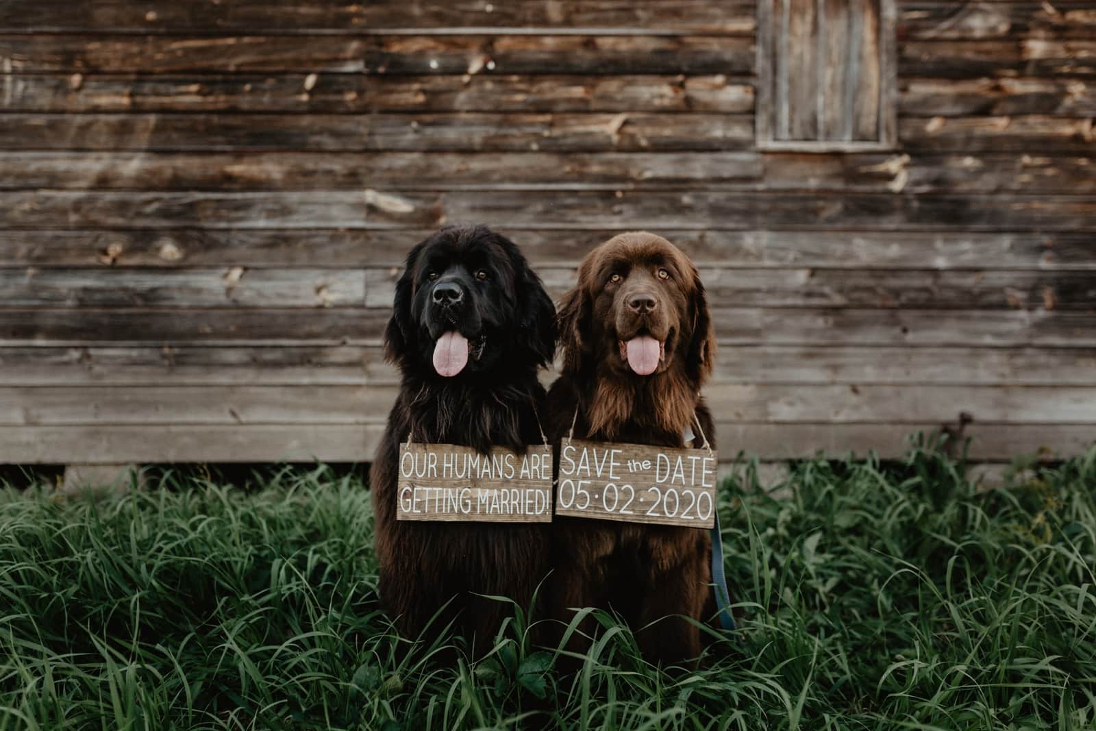 Katelynn and Nick's Upstate New York Sunset Engagement Session — Nicole ...