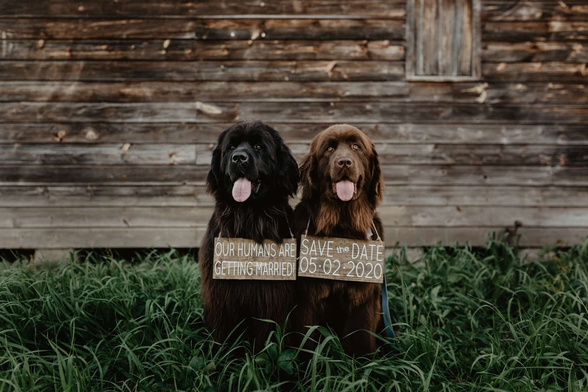 Katelynn and Nick's Upstate New York Sunset Engagement Session — Nicole ...