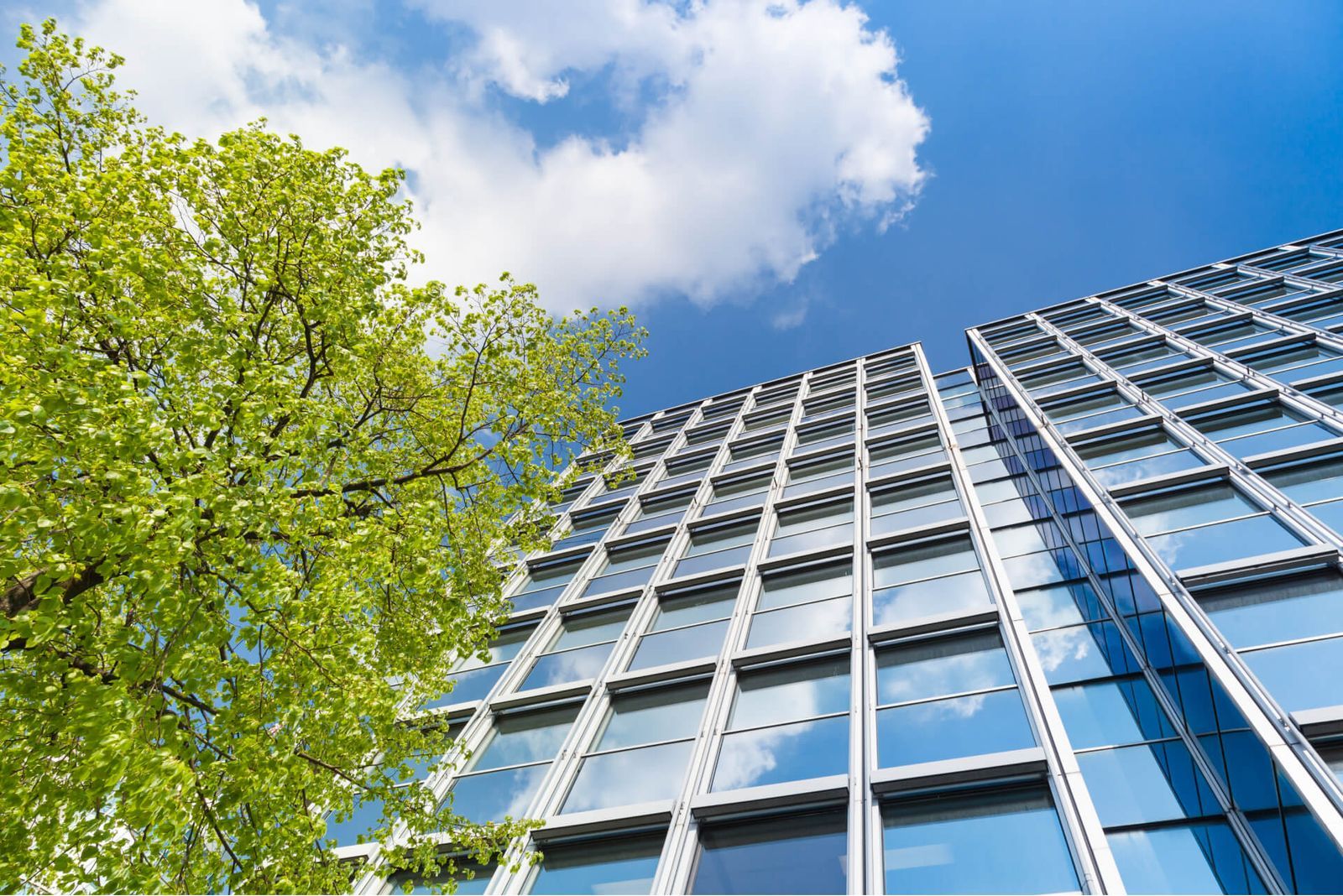 Wirelane | Charge. Pay. Done.