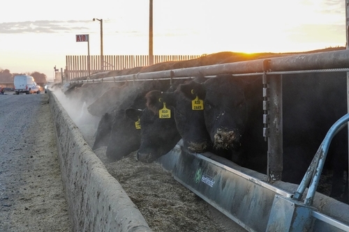 HerdWhistle Technologies Inc.