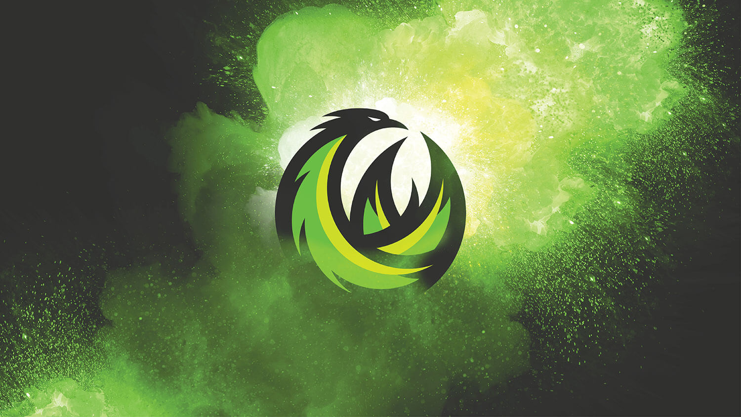 S.E. melbourne Phoenix | M2 Studio