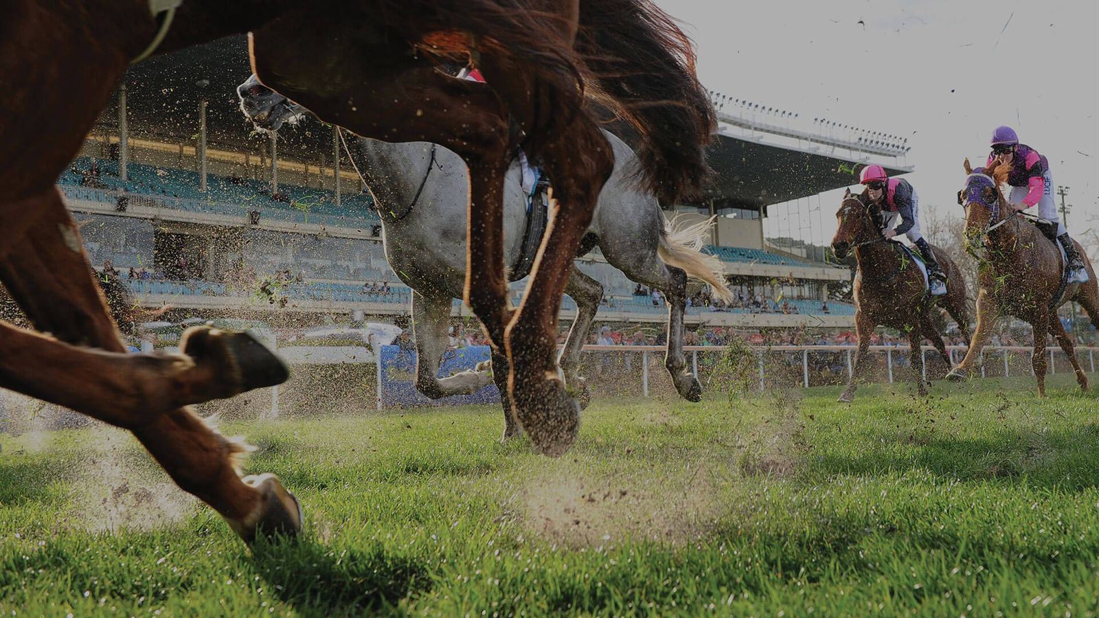 Moonee Valley Racing Club | M2 Studio