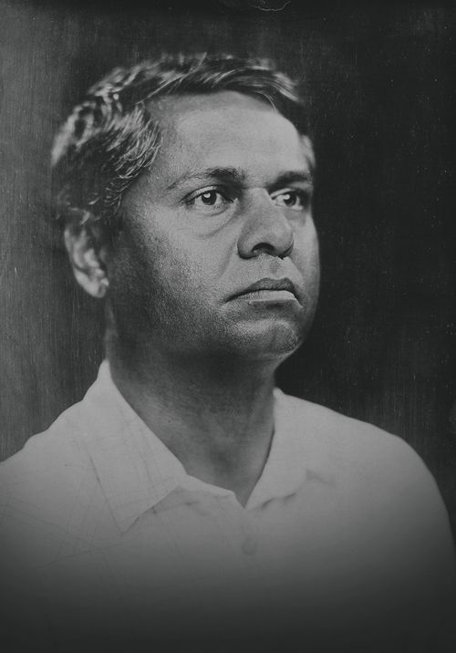 Guerilla Suit | Culture