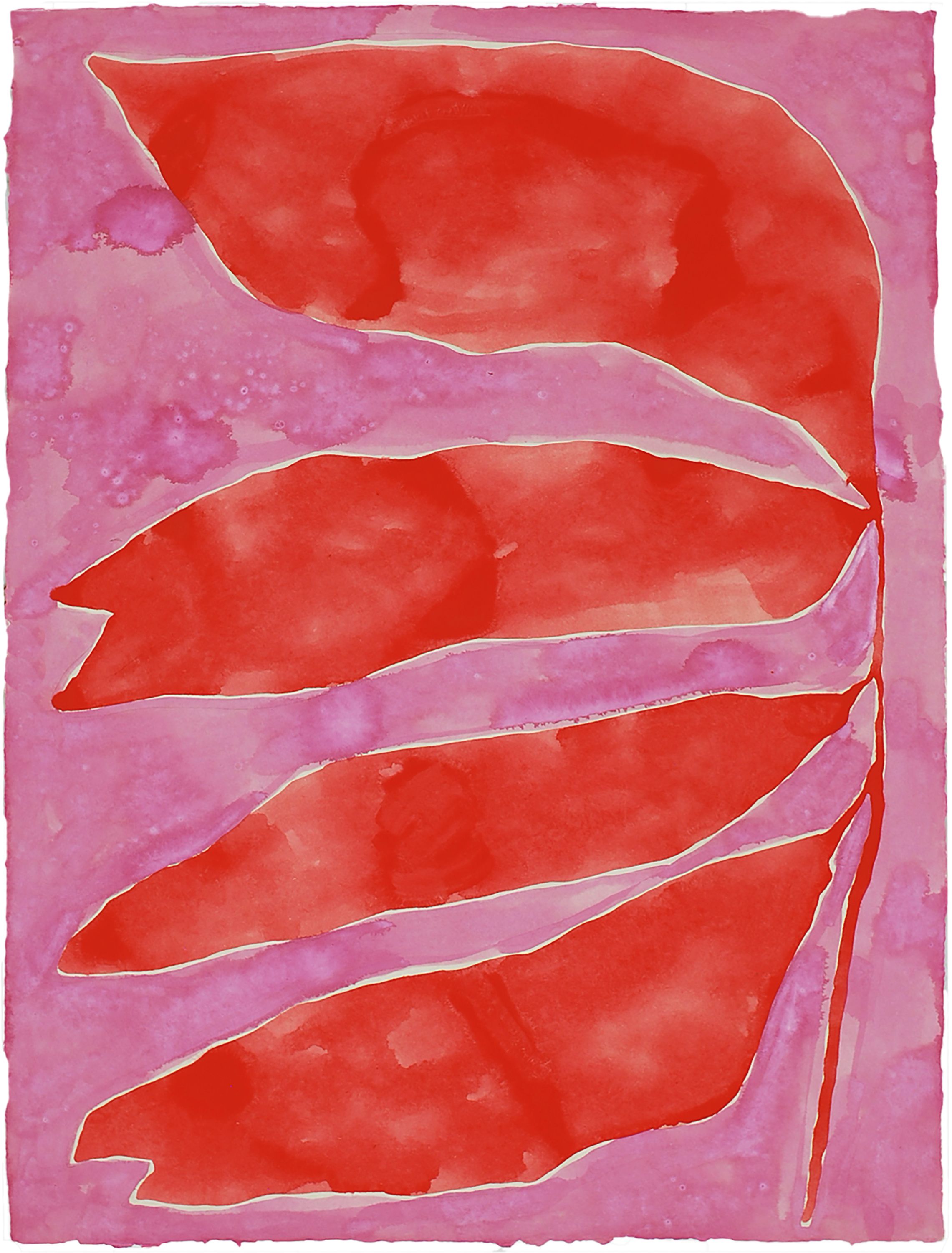 Kate Roebuck Studio — Multimedia Artist