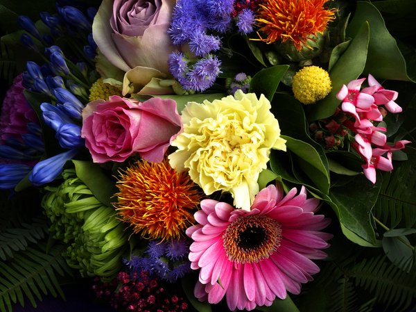 Helpful Guide to Funeral Arrangements Sutton Coldfield