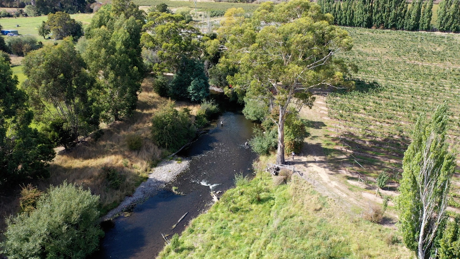 River Fly Fishing in Tasmania – Adapting your technique to suit ...