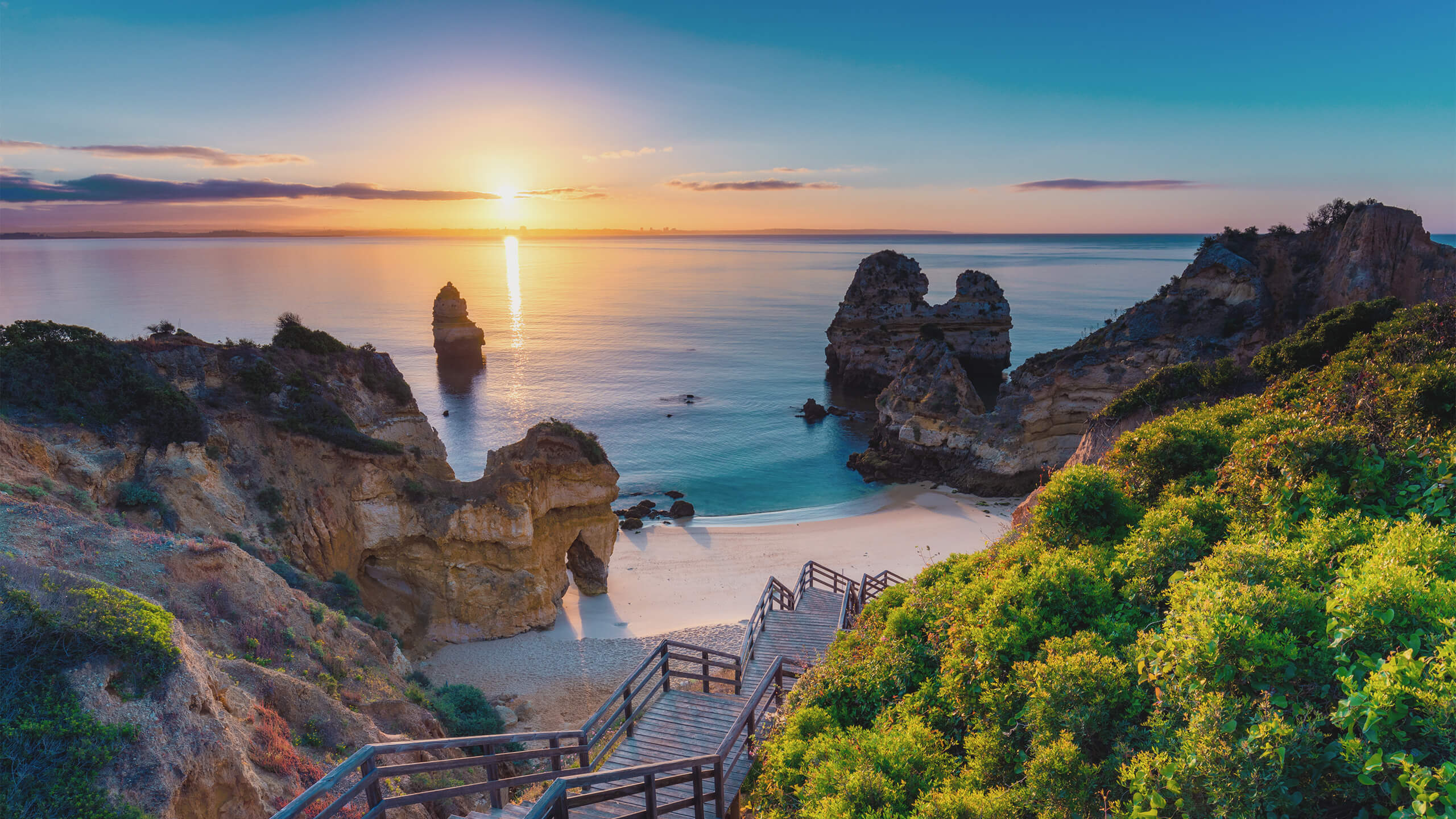 Wayli | Your trusted community for life abroad.