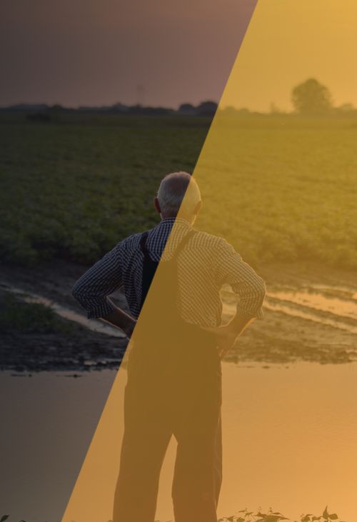 Bantam Communications | Strategic Clean Energy Communications - Consulting