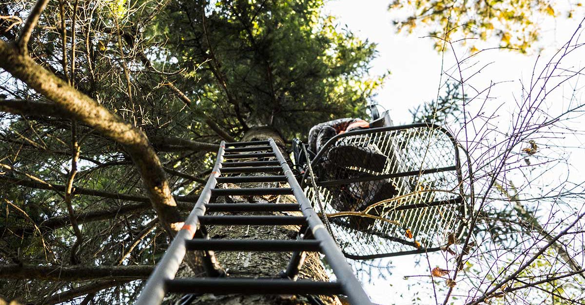 Hunting Strategy Articles from DeerLab
