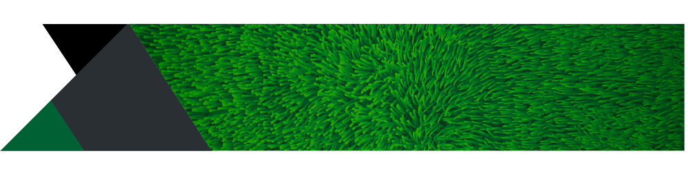 Sod Installation in South Minneapolis | Sod Smith