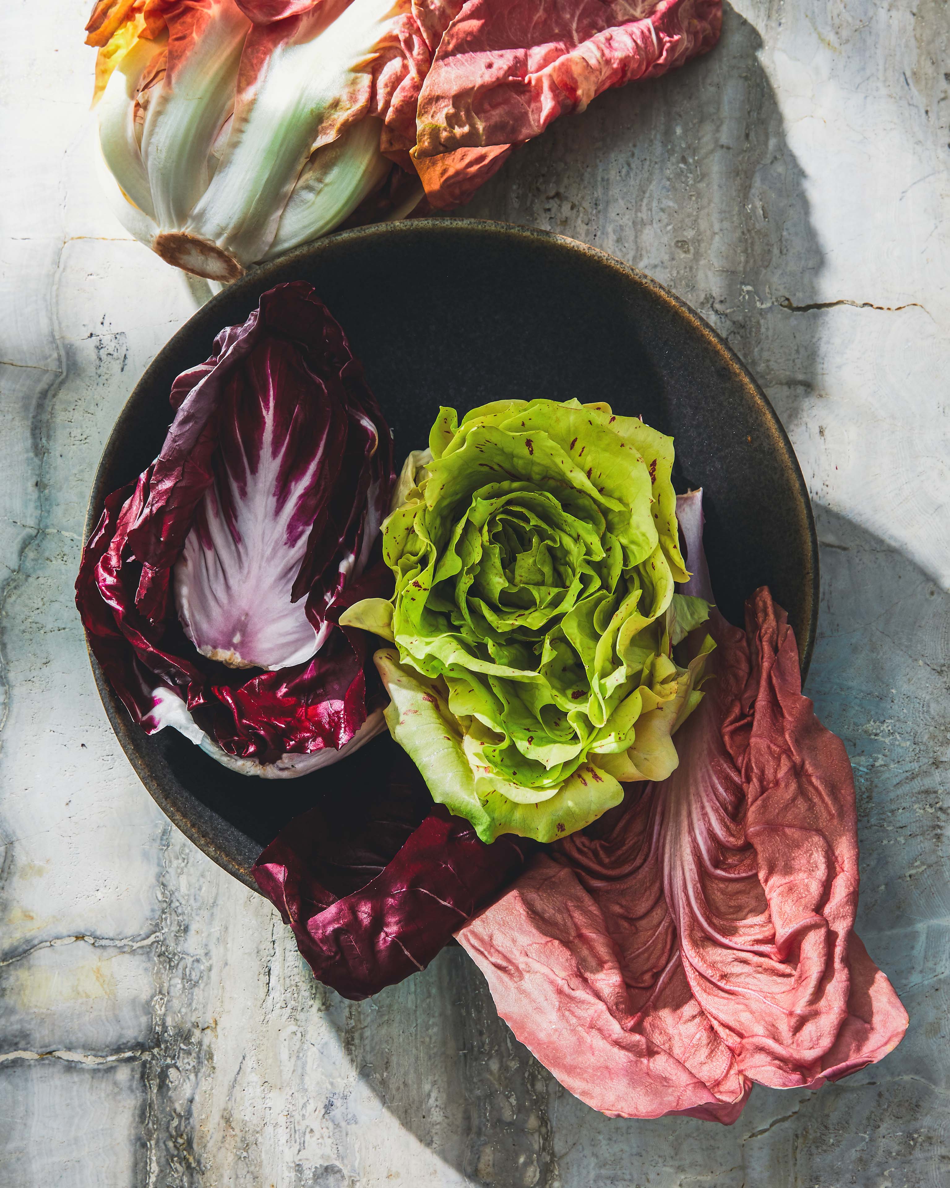 Maya Visnyei - Stills & Motion