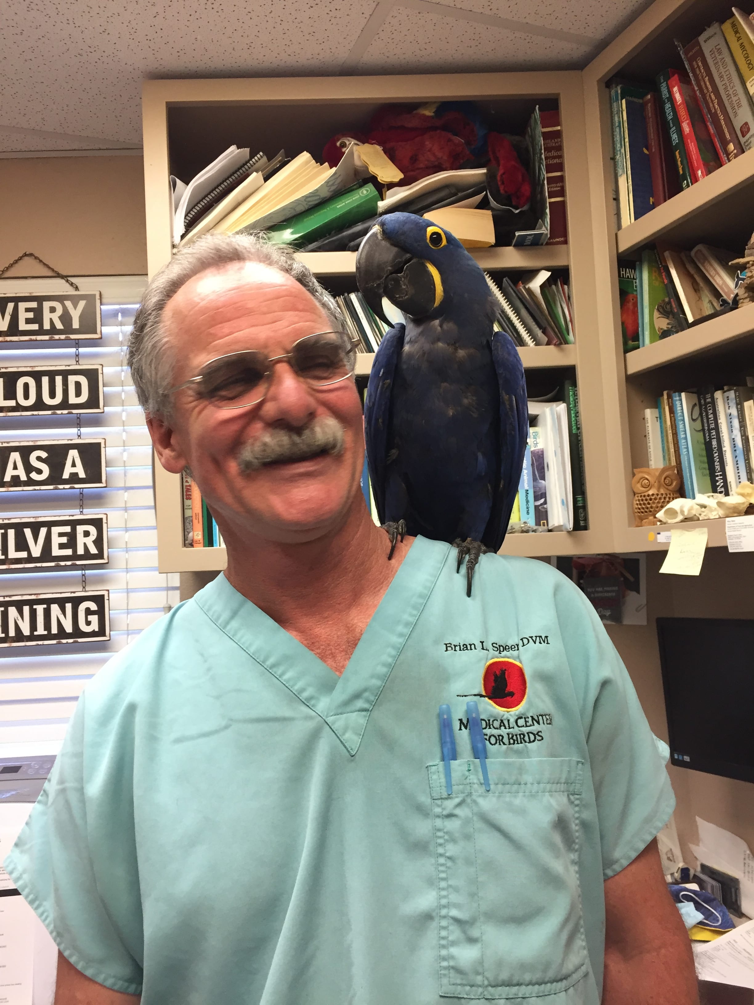 Moichor | Animal Diagnostics