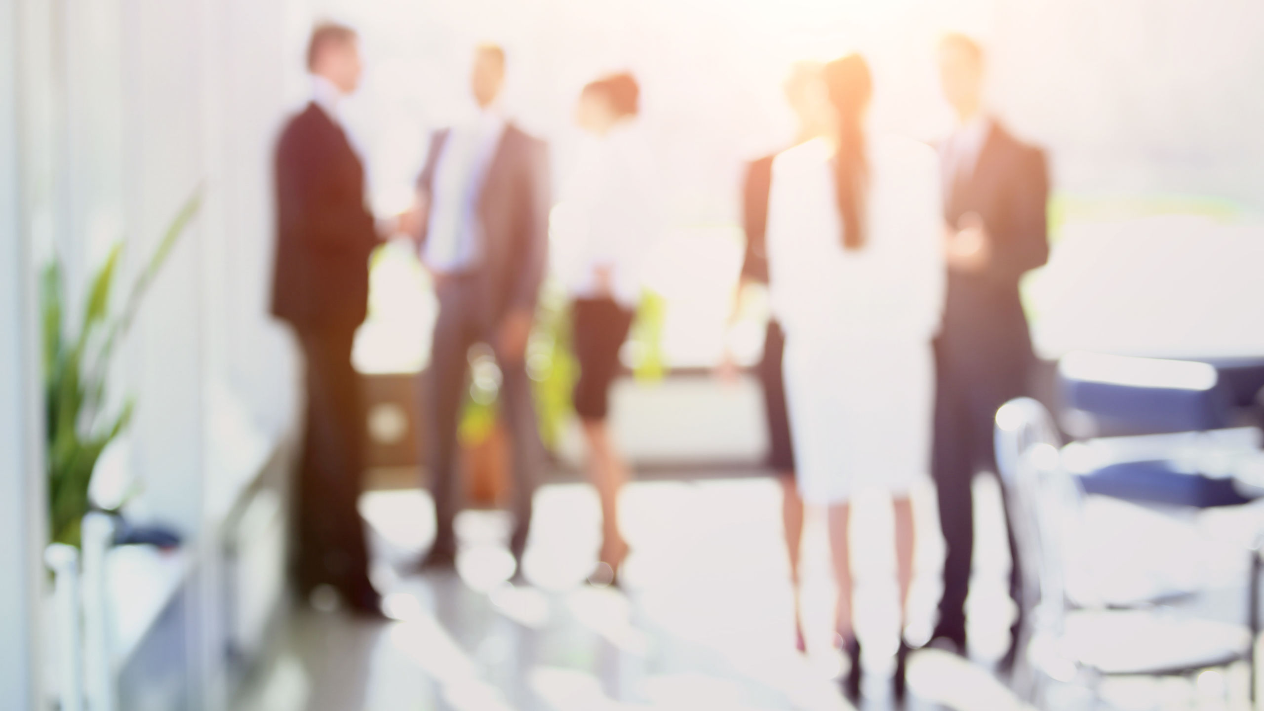 Dr. Sasse Gruppe – Nehmen Sie Kontakt auf!