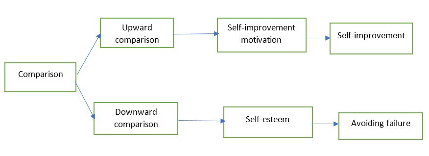 The Social Comparison Process: A Root Cause of Negative Body Image