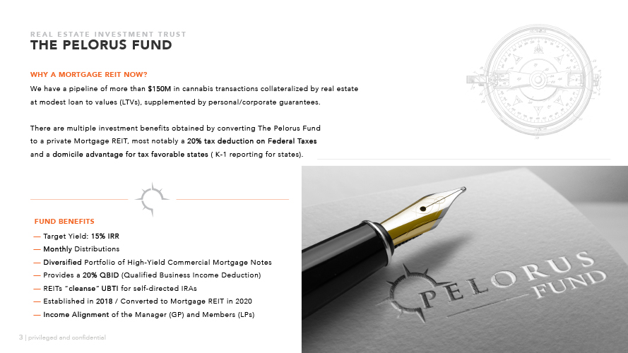 Pelorus Success Story