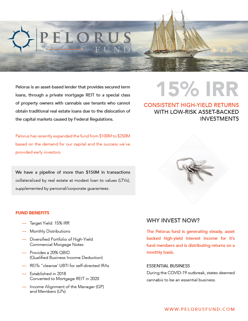 Pelorus Success Story