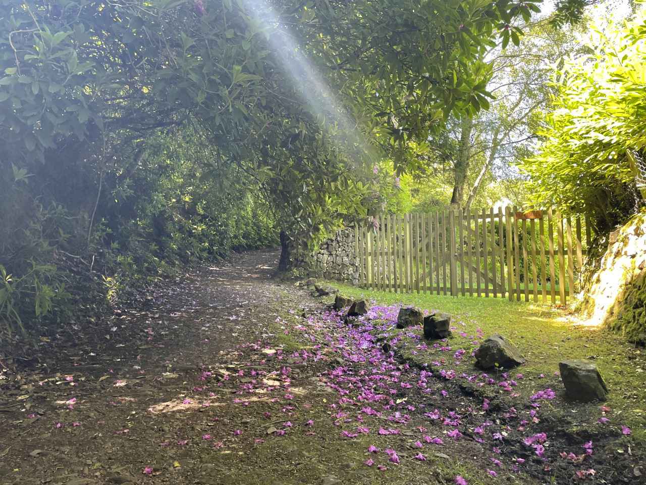 Porlock to Porlock Weir Wood Walk