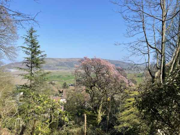 Porlock to Porlock Weir Wood Walk