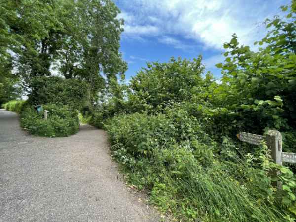 Porlock to Porlock Weir Wood Walk