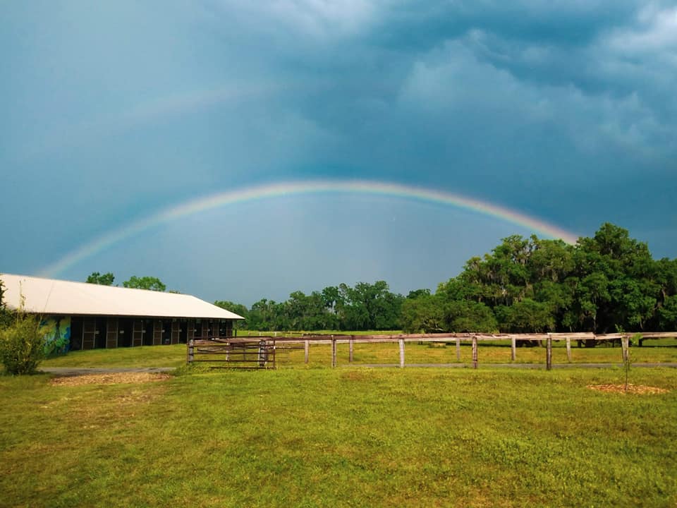 About - Rainbow Rise Family Farm
