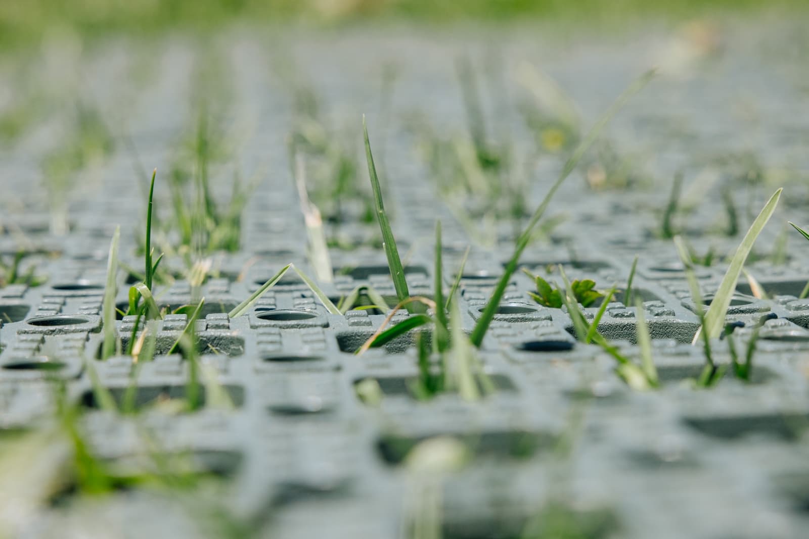 Safety Surface Products | Matta