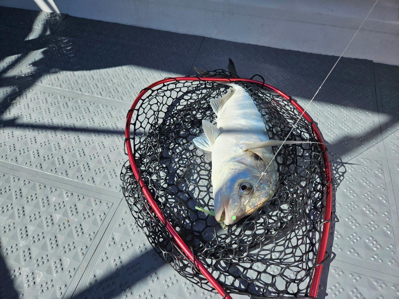 Work Matta Marine: Elevate Your Boat's Safety and Comfort on the Water