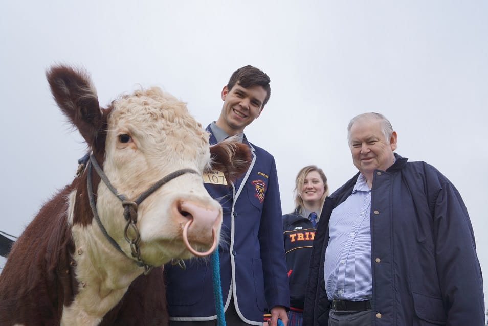 Showtime! | Tony Piccolo MP