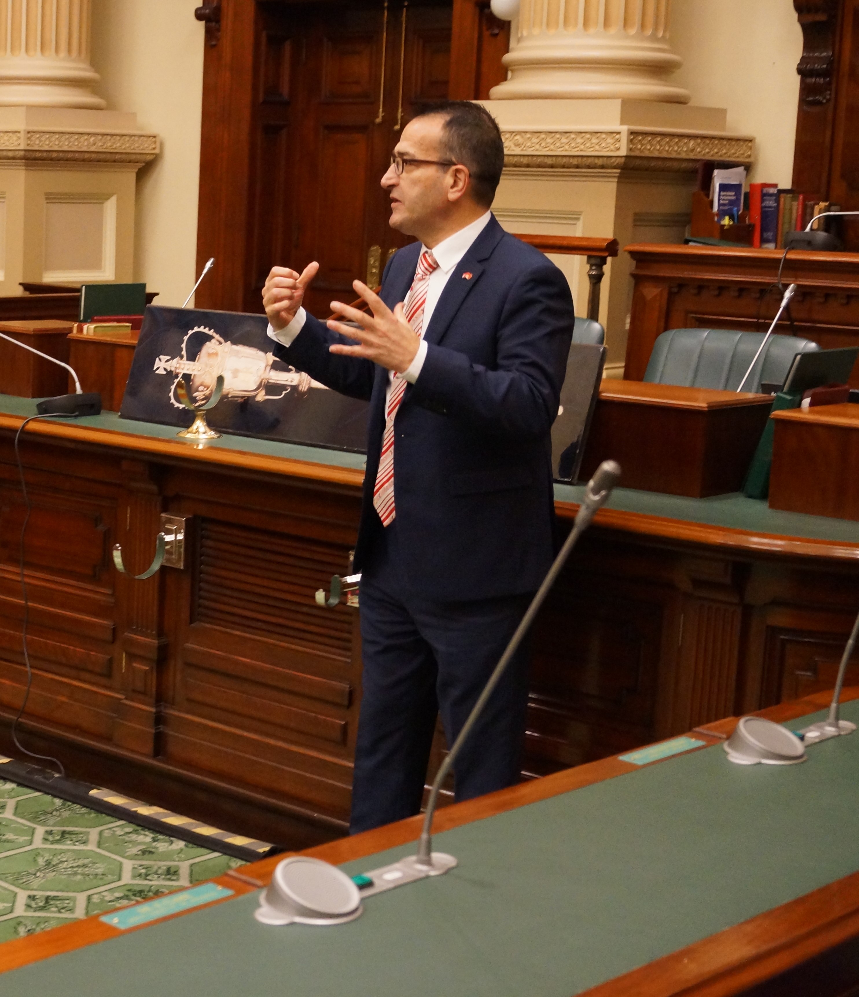 PICCOLO ELECTED DEPUTY SPEAKER | Tony Piccolo MP