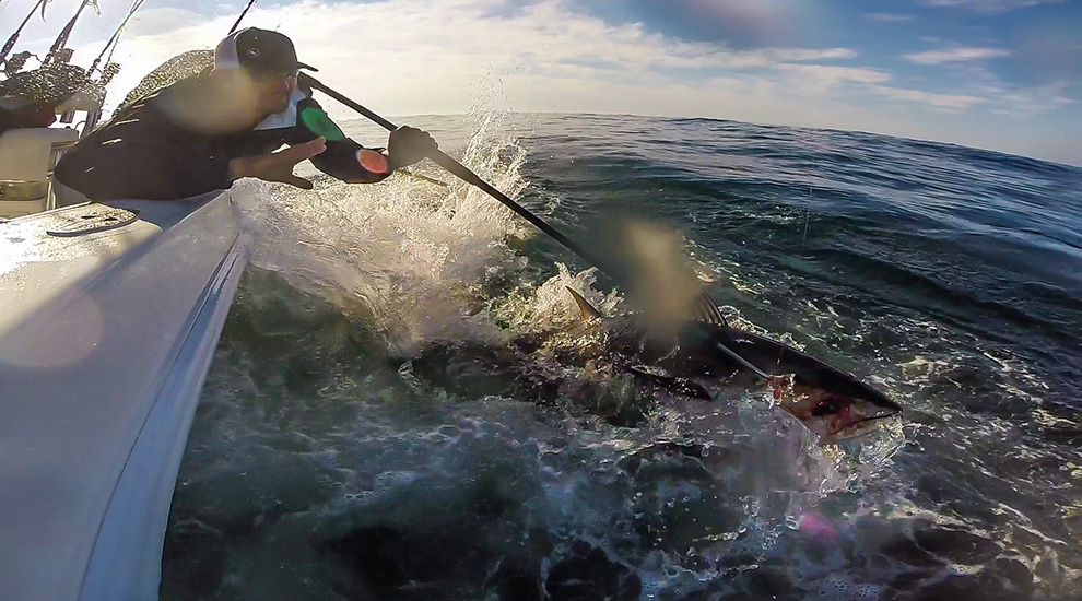 Targeting Big Tuna on Spin