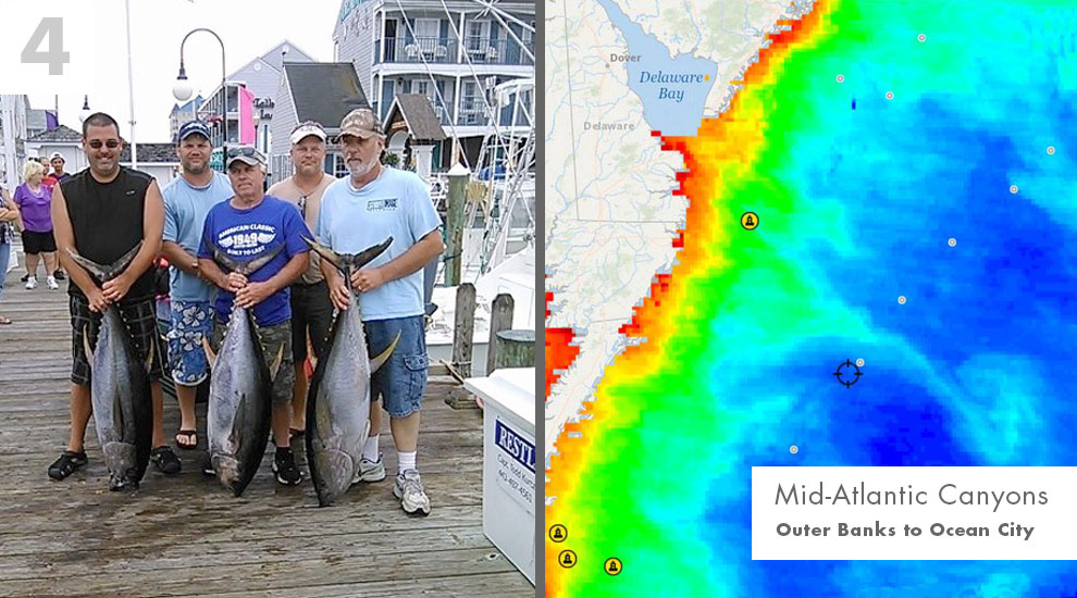 Top 10 Yellowfin Tuna Spots