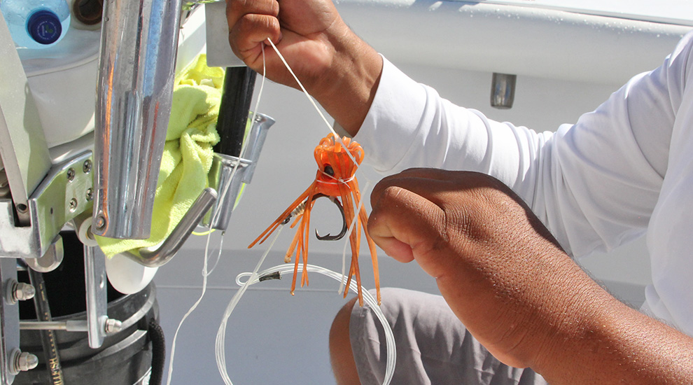 Marlin Pitch Bait