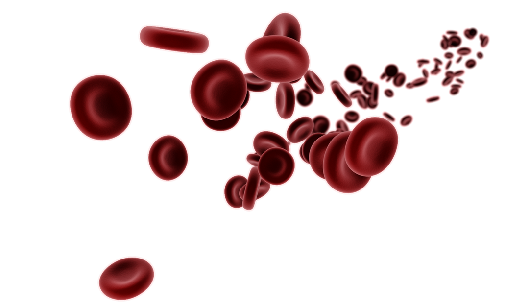 Centropix KLOUD - World Class PEMF Multi-Frequency Therapy Mat