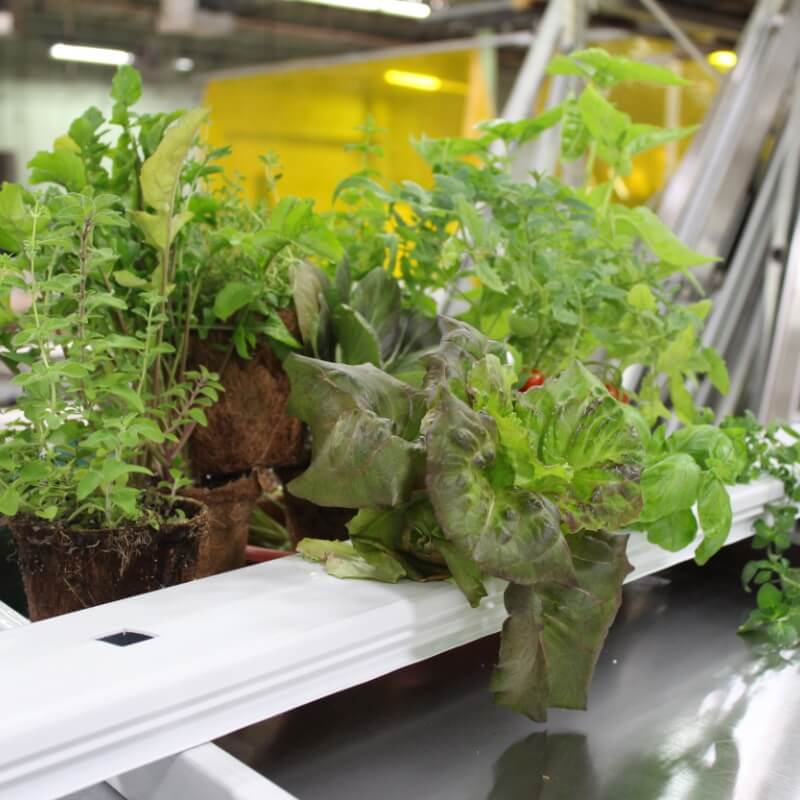 Green Policy | Aero Manufacturing