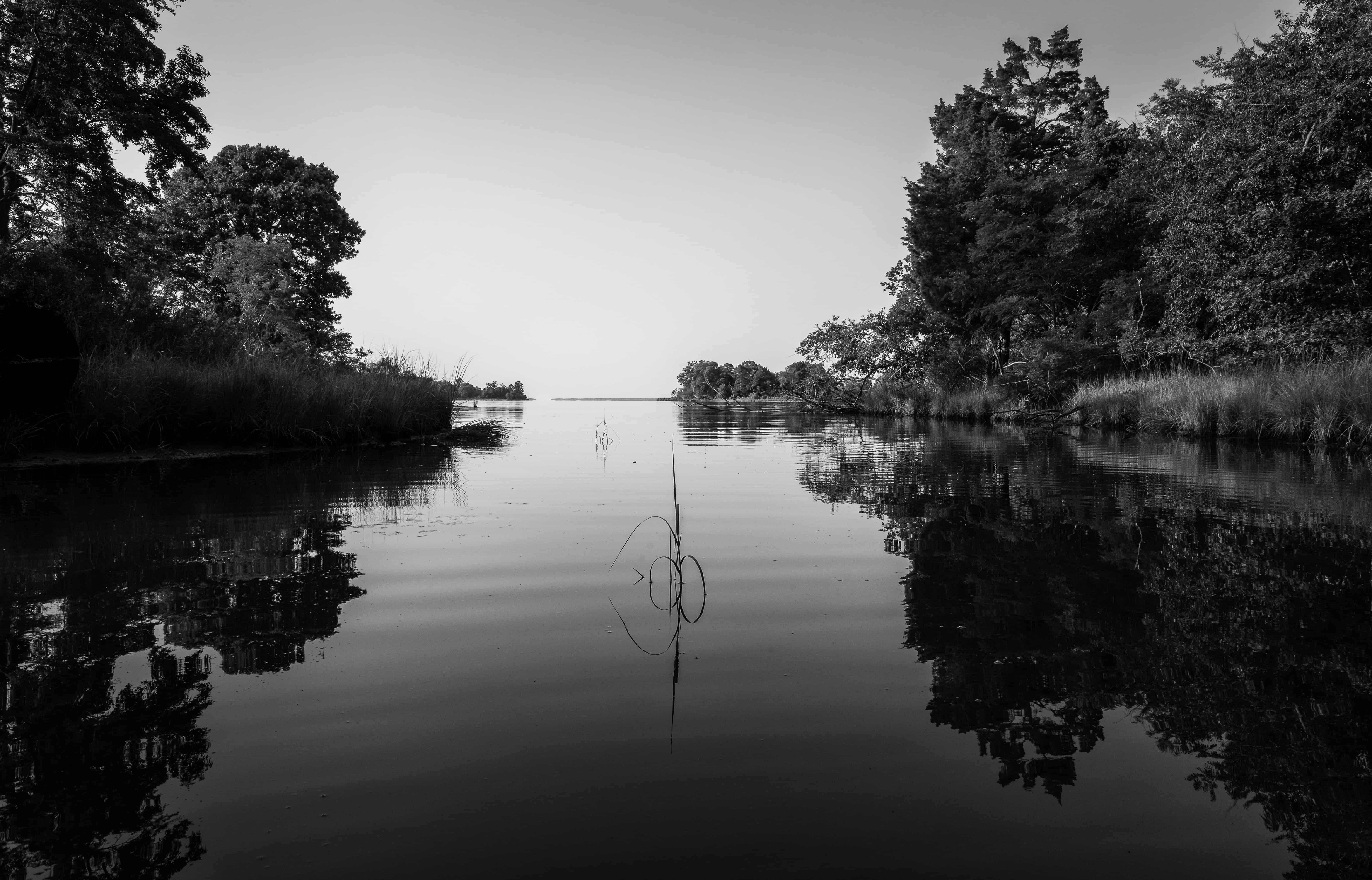 Library | The Talbot County of Frederick Douglass