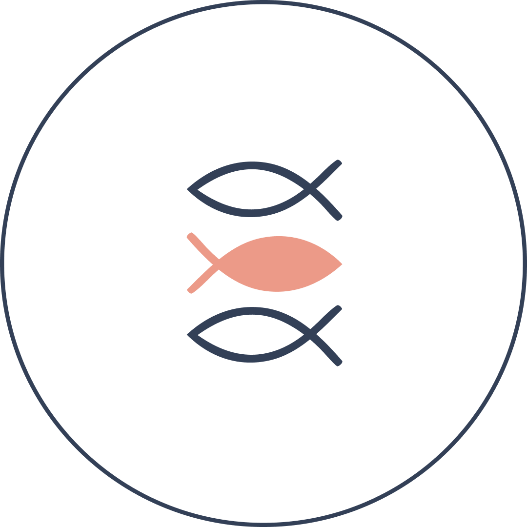 Home | Catholic Student Network