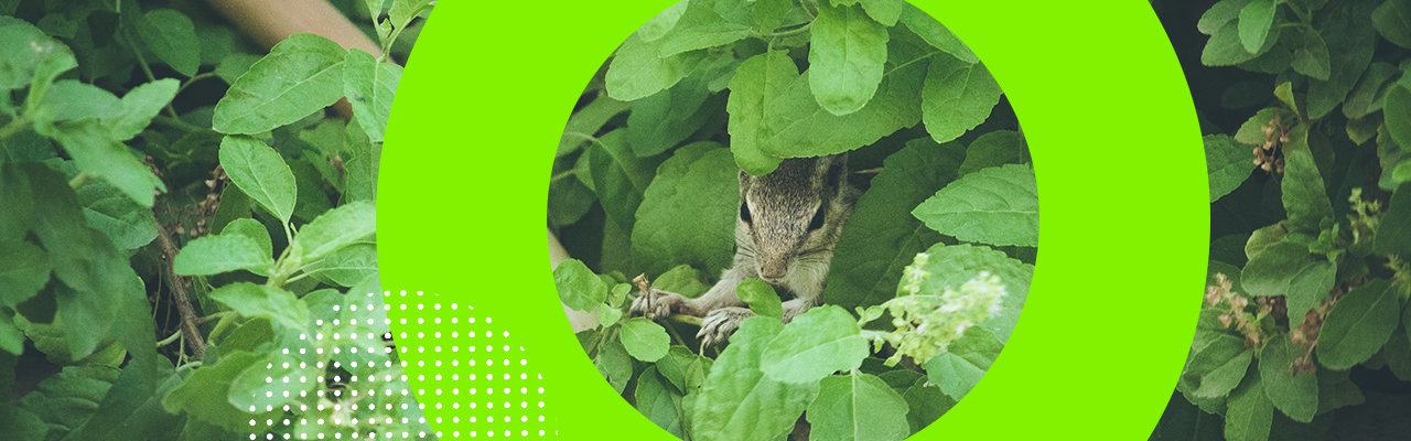 Part 3 Mapping The Mitre Attandck Framework To Your Kubernetes Cluster Persistence