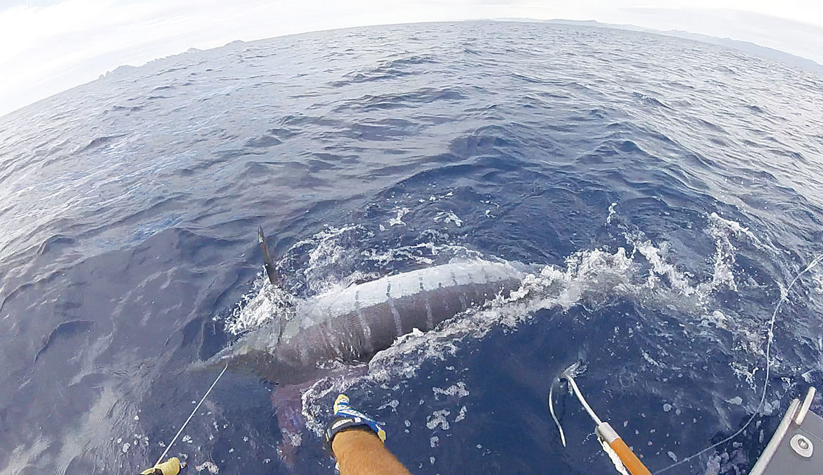 Live-baiting skipjack tuna - The Adventurer Magazine