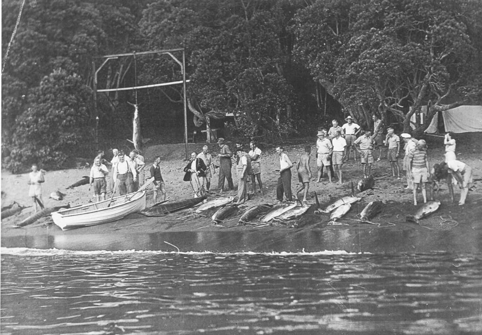 Great beginnings at Mayor Island for TSFC - The Adventurer Magazine