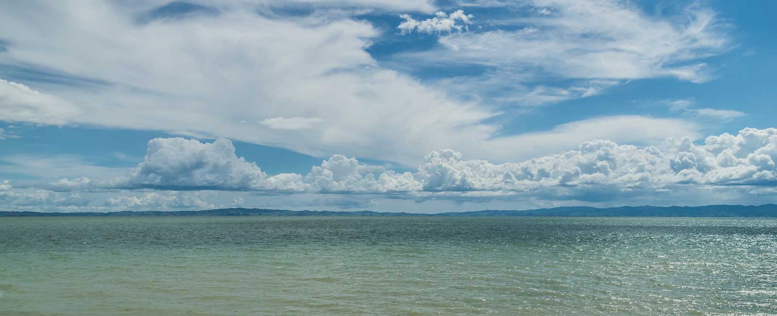 Firth of Thames report November 2021 - The Adventurer Magazine