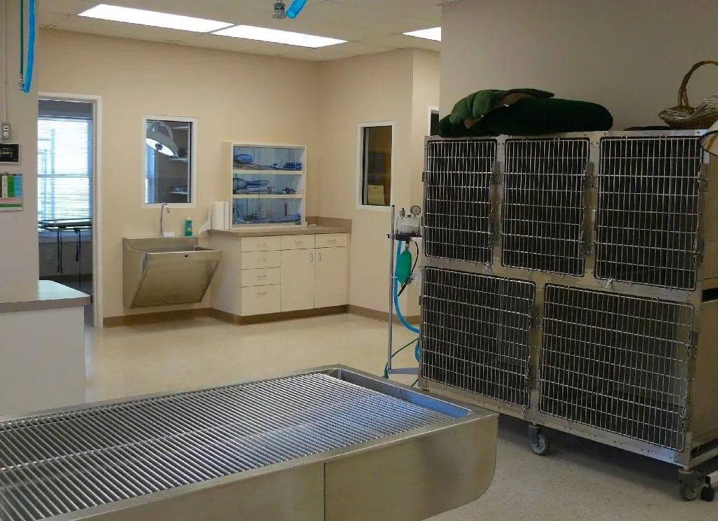 Clinic Tour I Franklin Veterinary Hospital