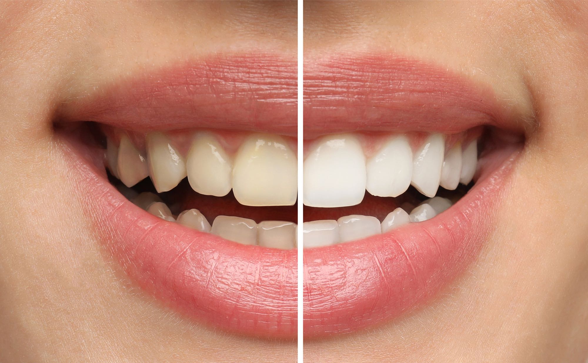 Our Providers | Good Day Family Dental