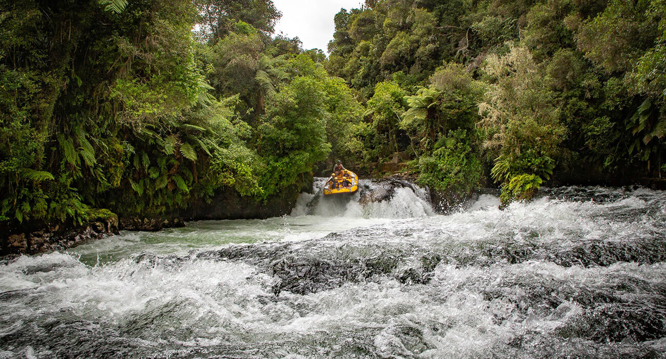 Kaituna River Rafting | Whitewater Rafting Rotorua | Raft the Kaituna River
